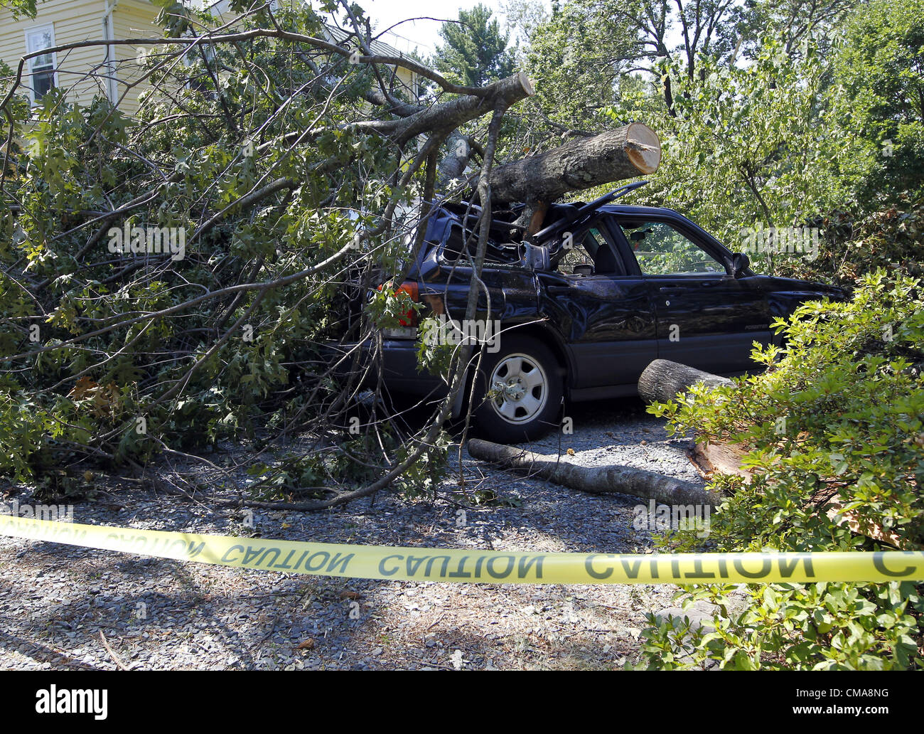 Large tree crushed hi-res stock photography and images - Alamy