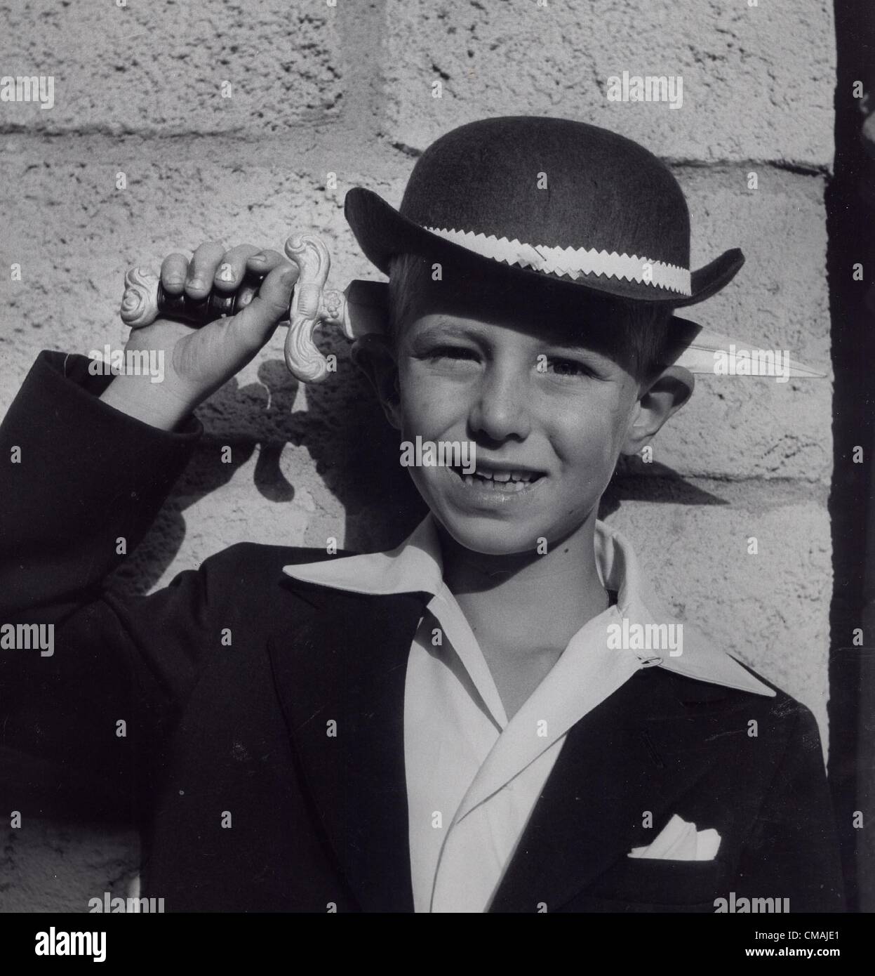 David Alan Ladd The Hollywood Collection: Alan Ladd: The True Quiet