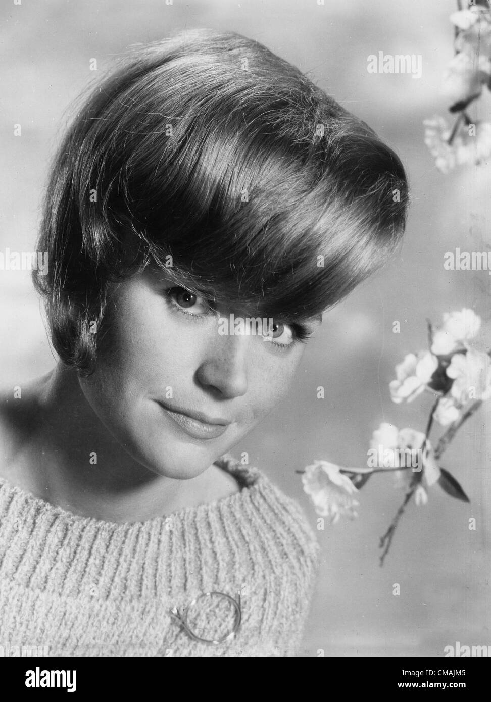 Lee Remick Aka Lee Ann Remick A High Resolution Stock Photography and ...