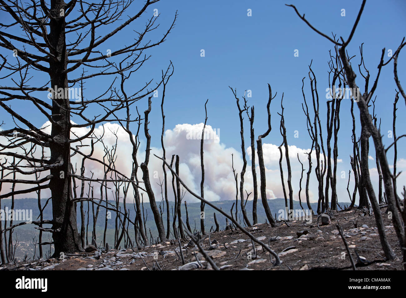 Wildfire and forest fire destroys 50,000 acres of mountain and cabin ...