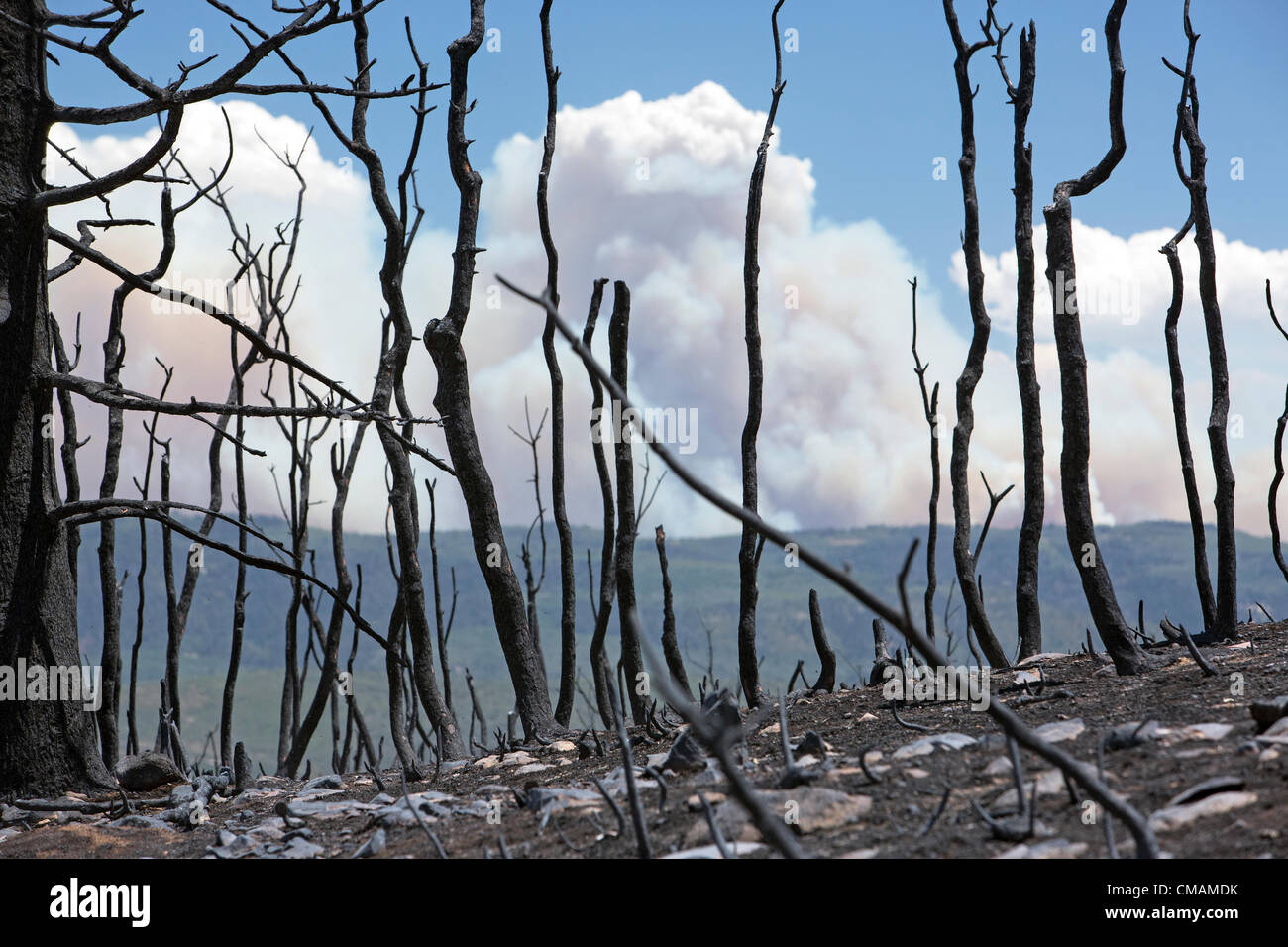 Wildfire and forest fire destroys 50,000 acres of mountain and cabin ...