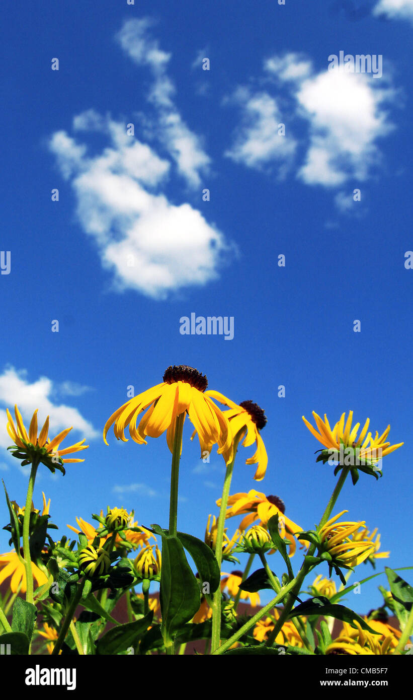 Landscaped with thousands of native flowers Phoenix Park in Eau Claire ...
