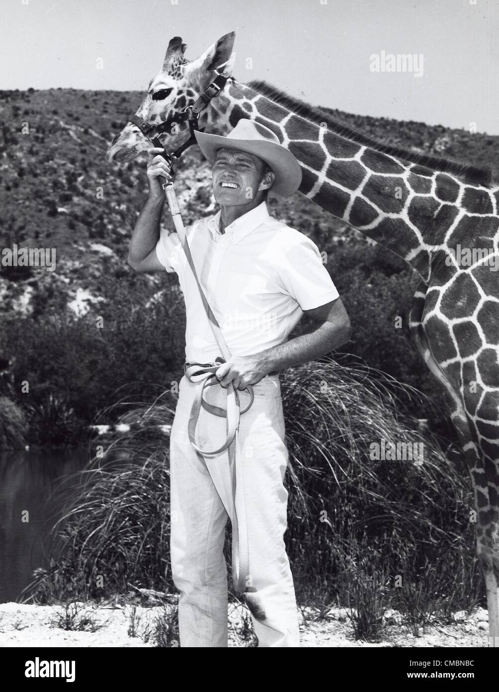 CHUCK CONNORS.AKA Kevin Joseph Aloysius Connors.Supplied by Photos inc ...