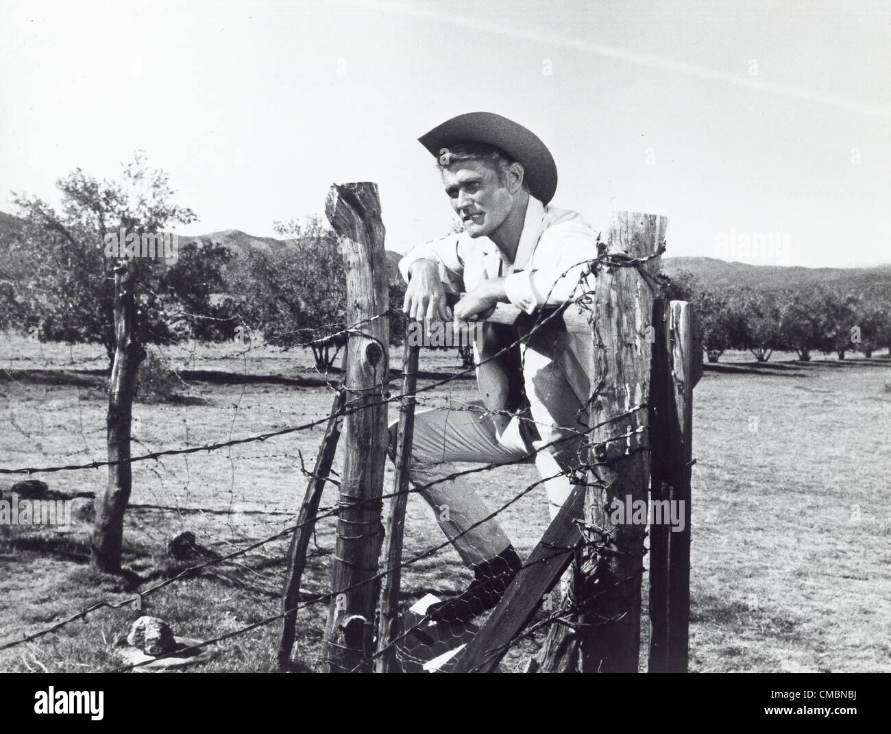 CHUCK CONNORS.AKA Kevin Joseph Aloysius Connors.Supplied by Photos inc ...