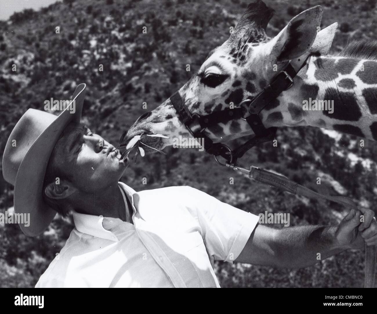 CHUCK CONNORS.AKA Kevin Joseph Aloysius Connors.Supplied by Photos inc ...