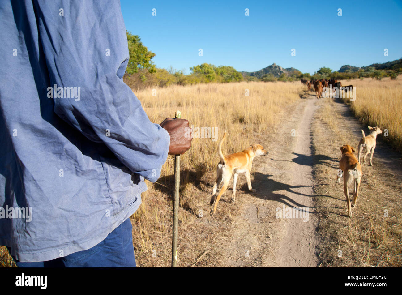 Cattle dip tank hi-res stock photography and images - Alamy