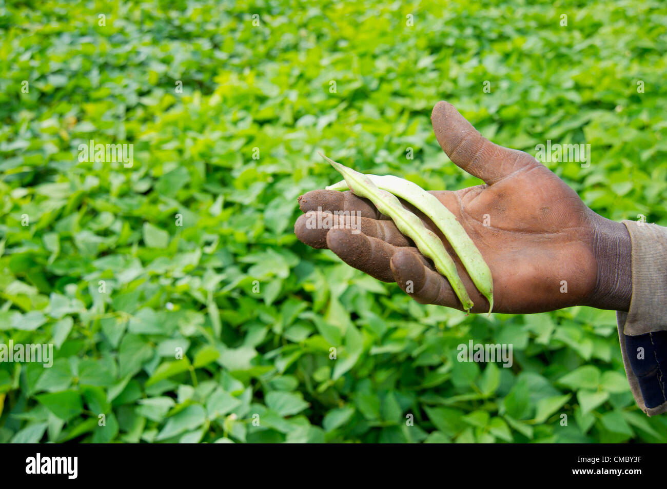 June 13, 2012 - Chimhanda (Village, Zimbabwe - June 13, 2012, Rushinga ...