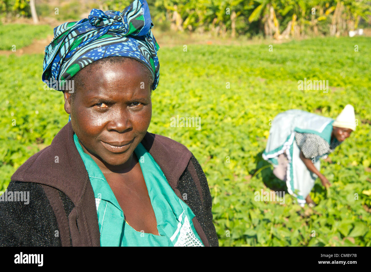 Sadza hi-res stock photography and images - Alamy