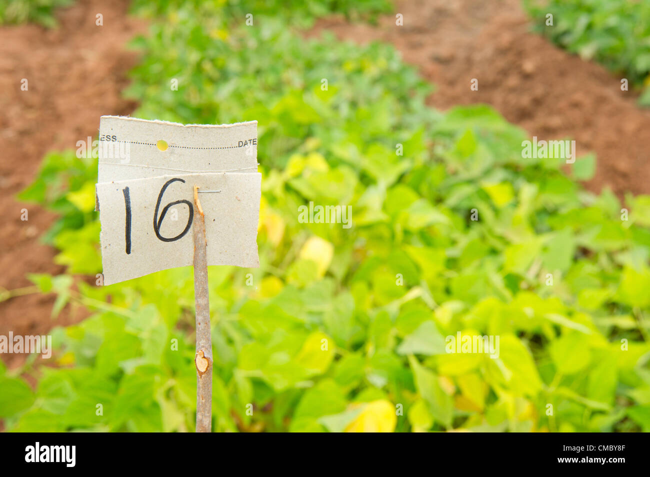 June 13, 2012 - Zimbabwe - June 13, 2012, Rushinga, Zimbabwe - Scenes ...