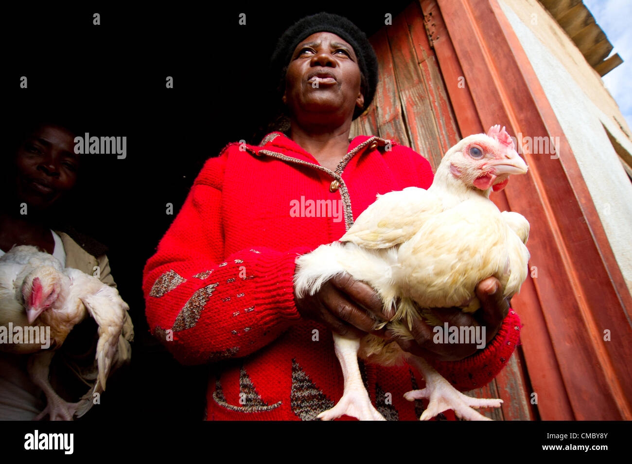 Designed in zimbabwe hi-res stock photography and images - Alamy