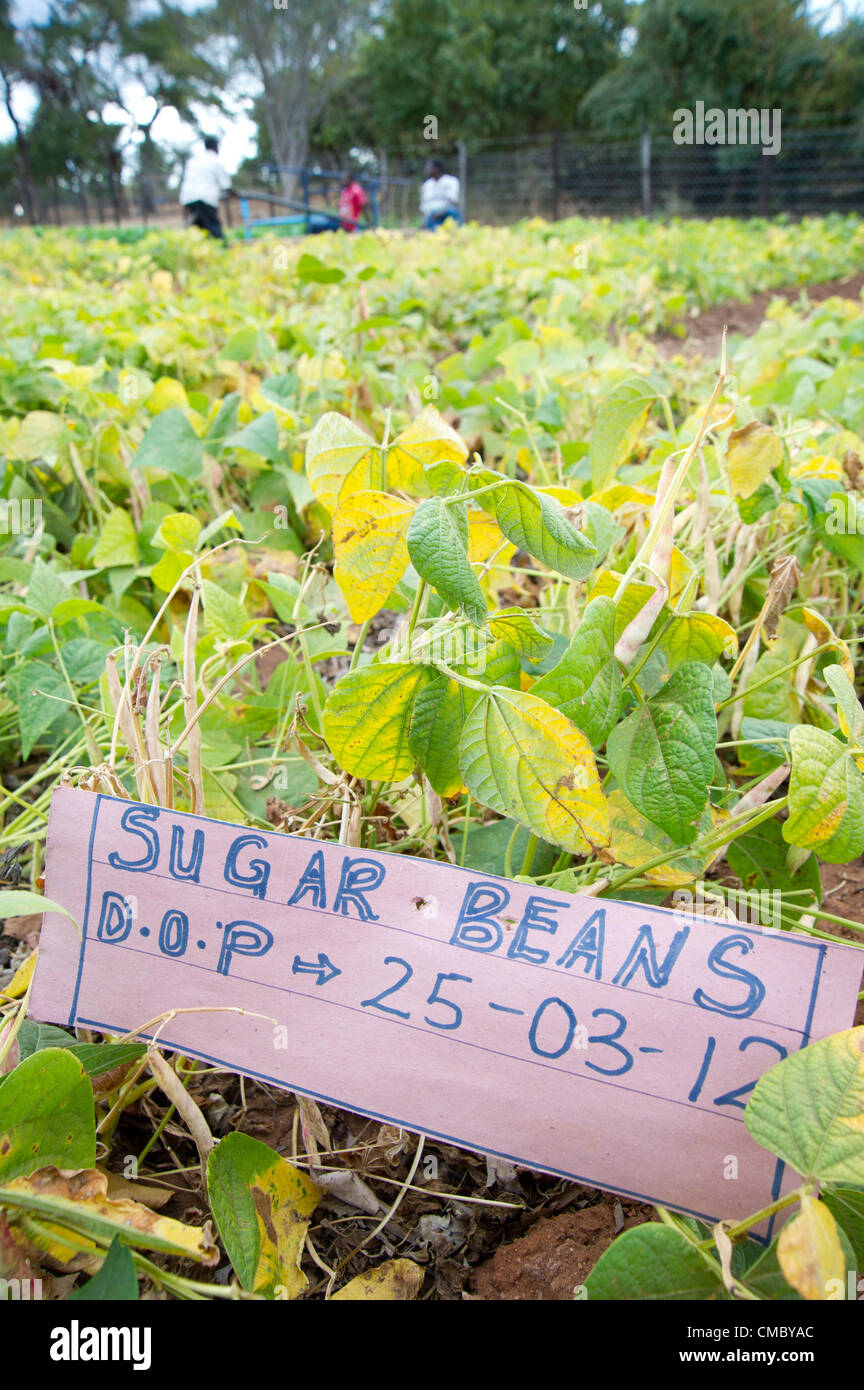 458 011 hi-res stock photography and images - Alamy