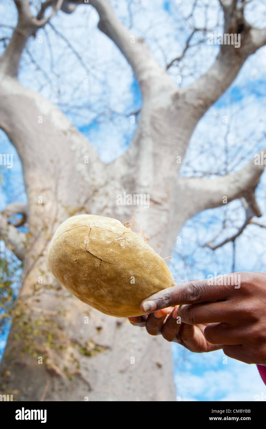 June 14, 2012 - Makuni (Village, Zimbabwe - June 14, 2012, Rushinga ...