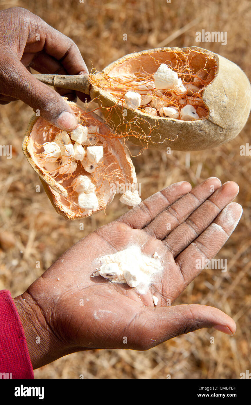 Zimbabweans hi-res stock photography and images - Alamy