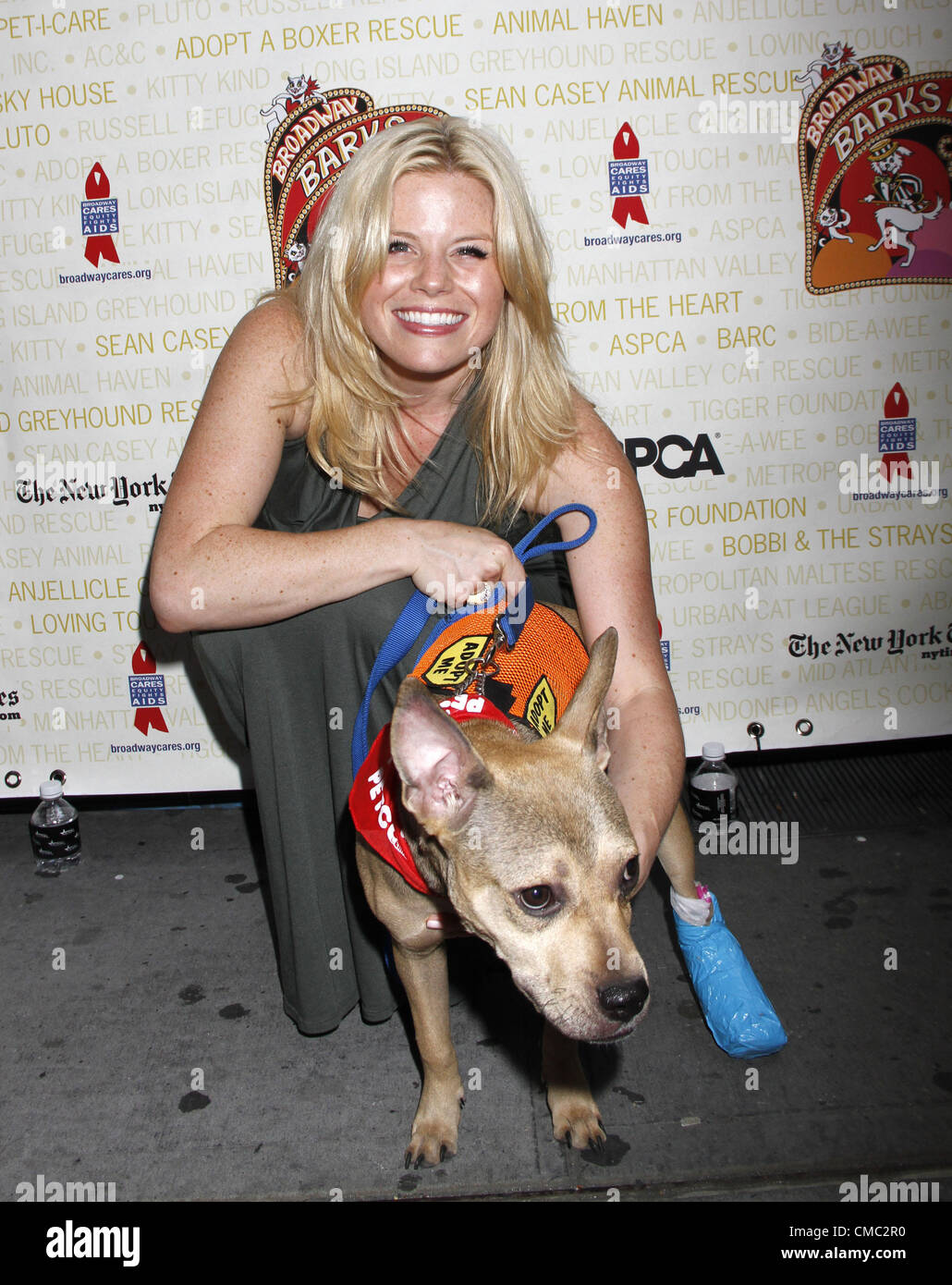 July 14, 2012 - New York, New York, U.S. - Megan Hilty attends the ...