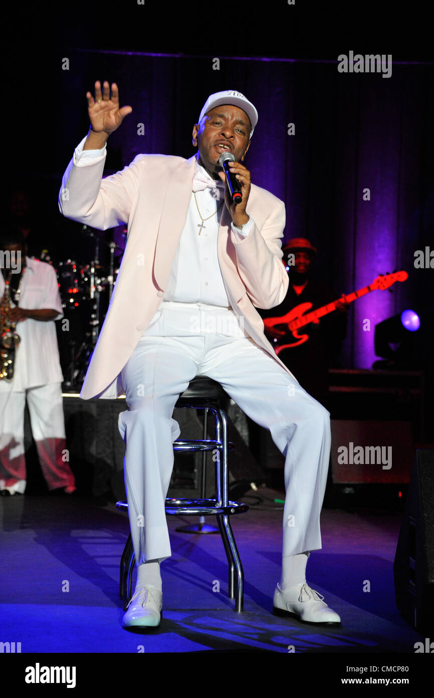 Dell music center concert series hi-res stock photography and images ...