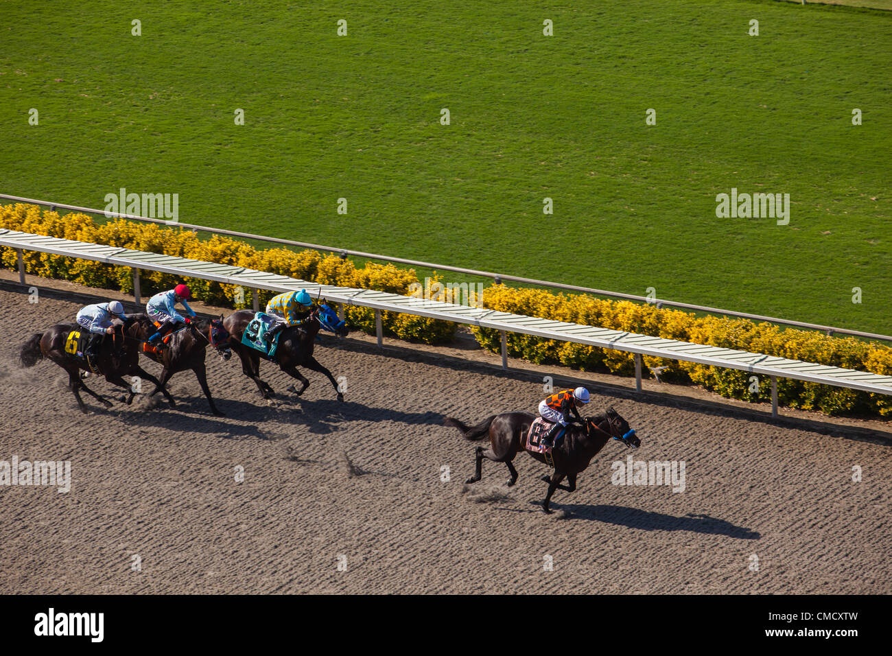 Del mar race track hi-res stock photography and images - Alamy