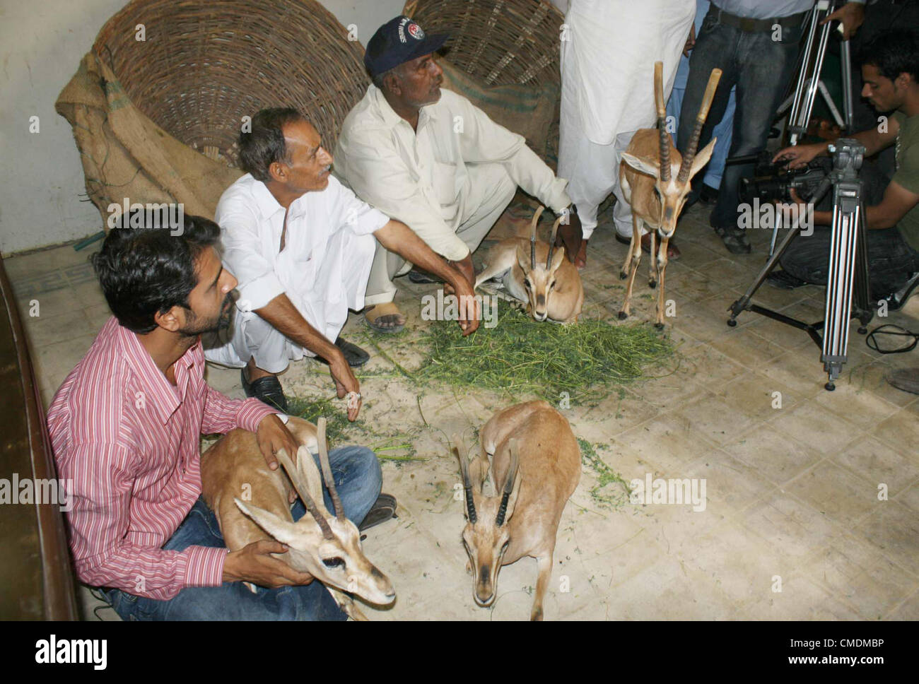Wild Life workers showing the rare species of deer, who were being ...