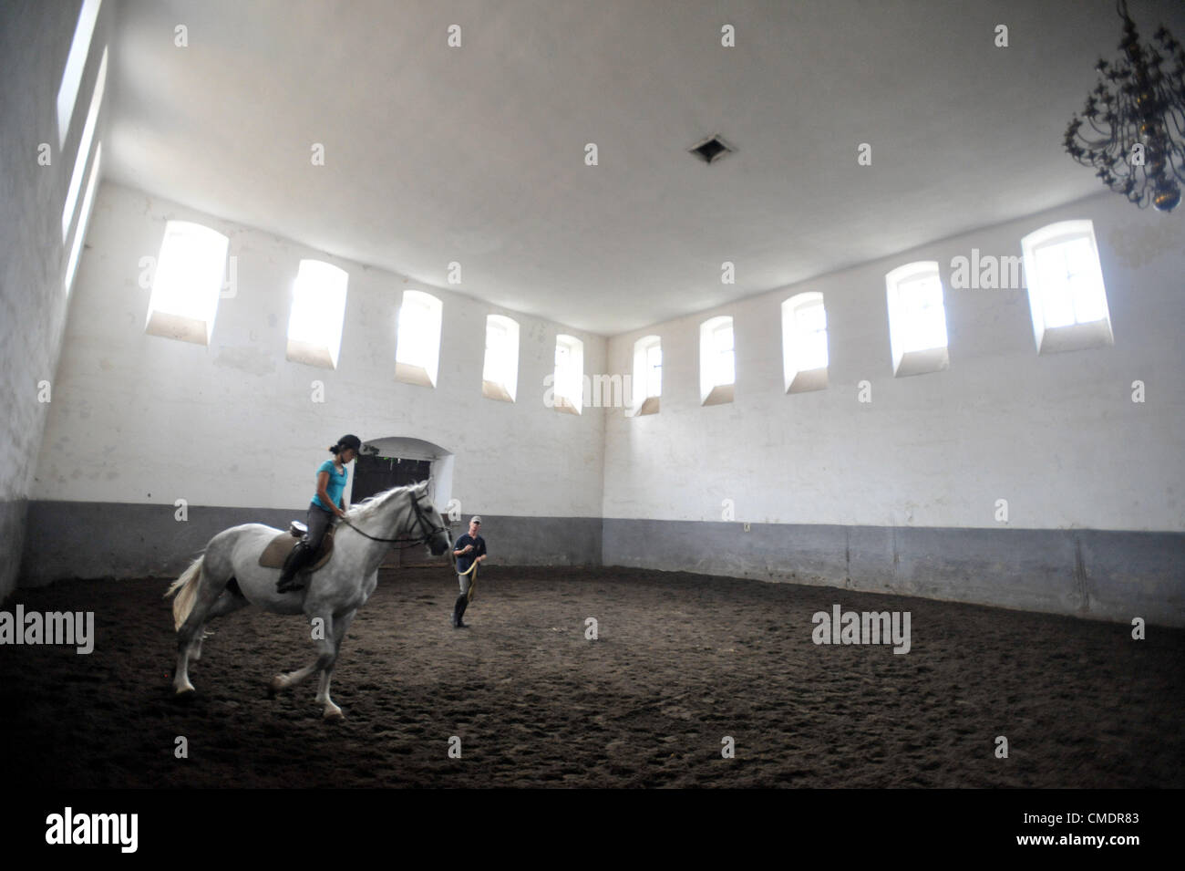 National stud in kladruby nad labem hi-res stock photography and images ...