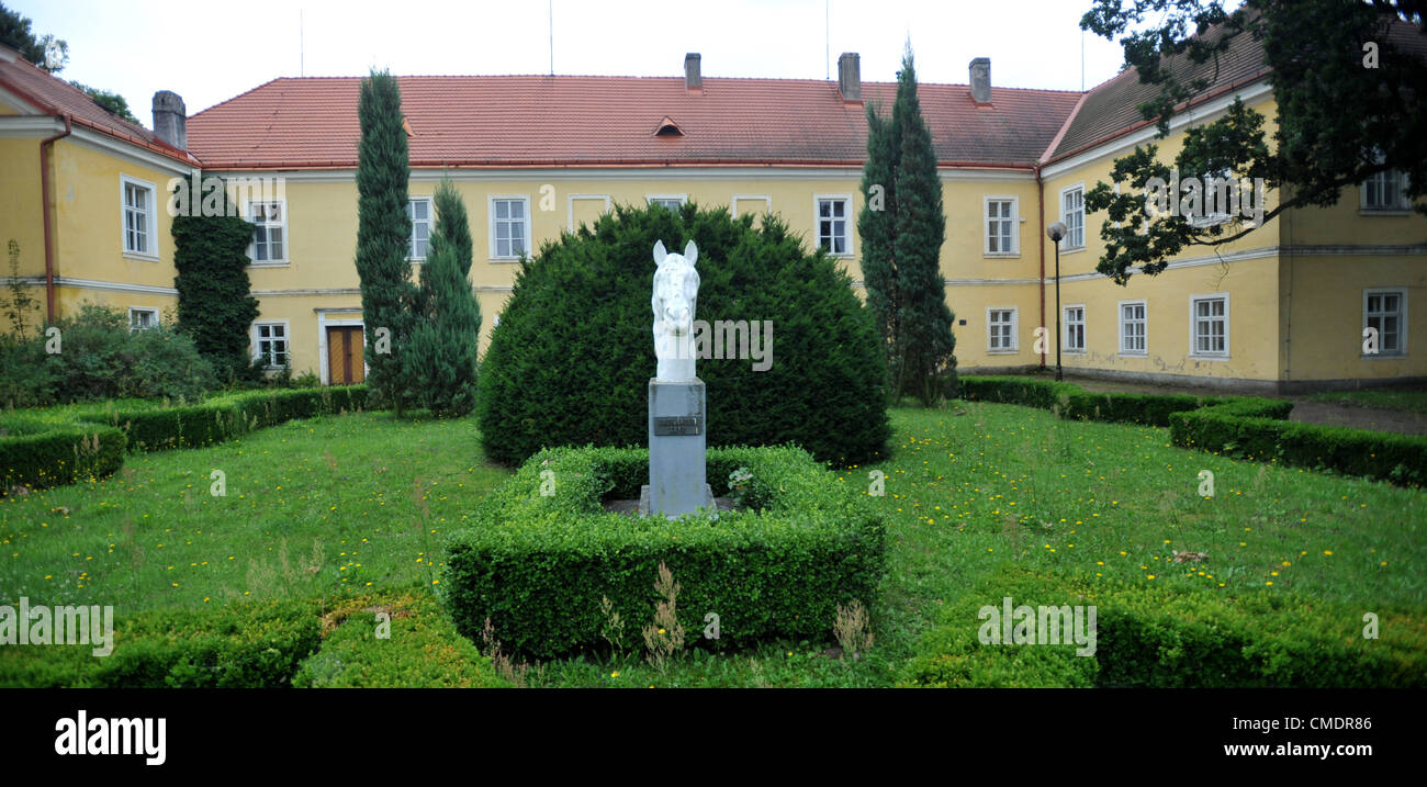 National stud in kladruby nad labem hi-res stock photography and images ...