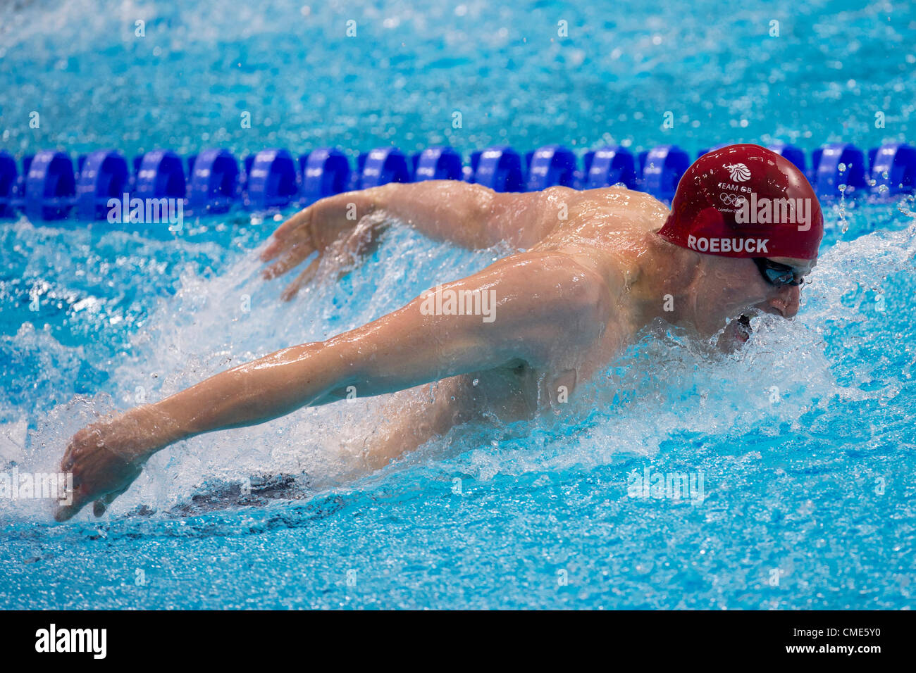 Swimming roebuck hi-res stock photography and images - Alamy