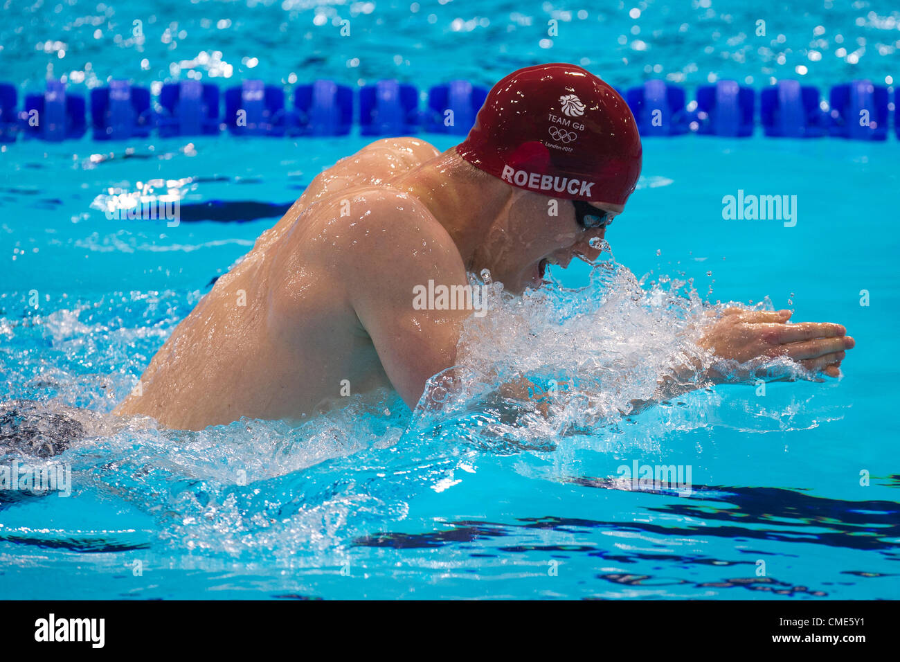 Swimming roebuck hi-res stock photography and images - Alamy
