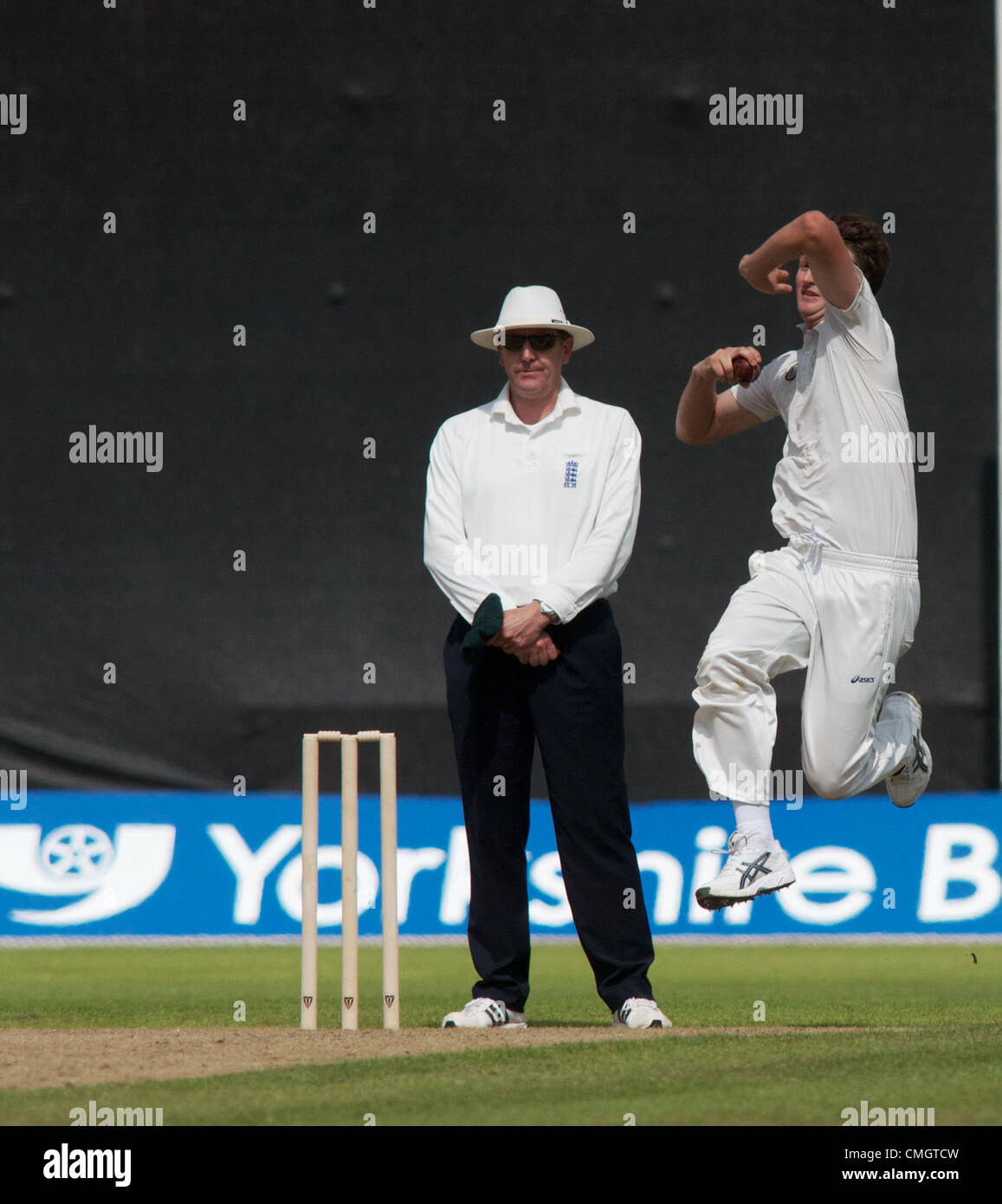 Jackson bird hi-res stock photography and images - Alamy