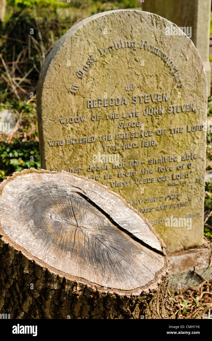 Apparition of jesus christ hi-res stock photography and images - Alamy