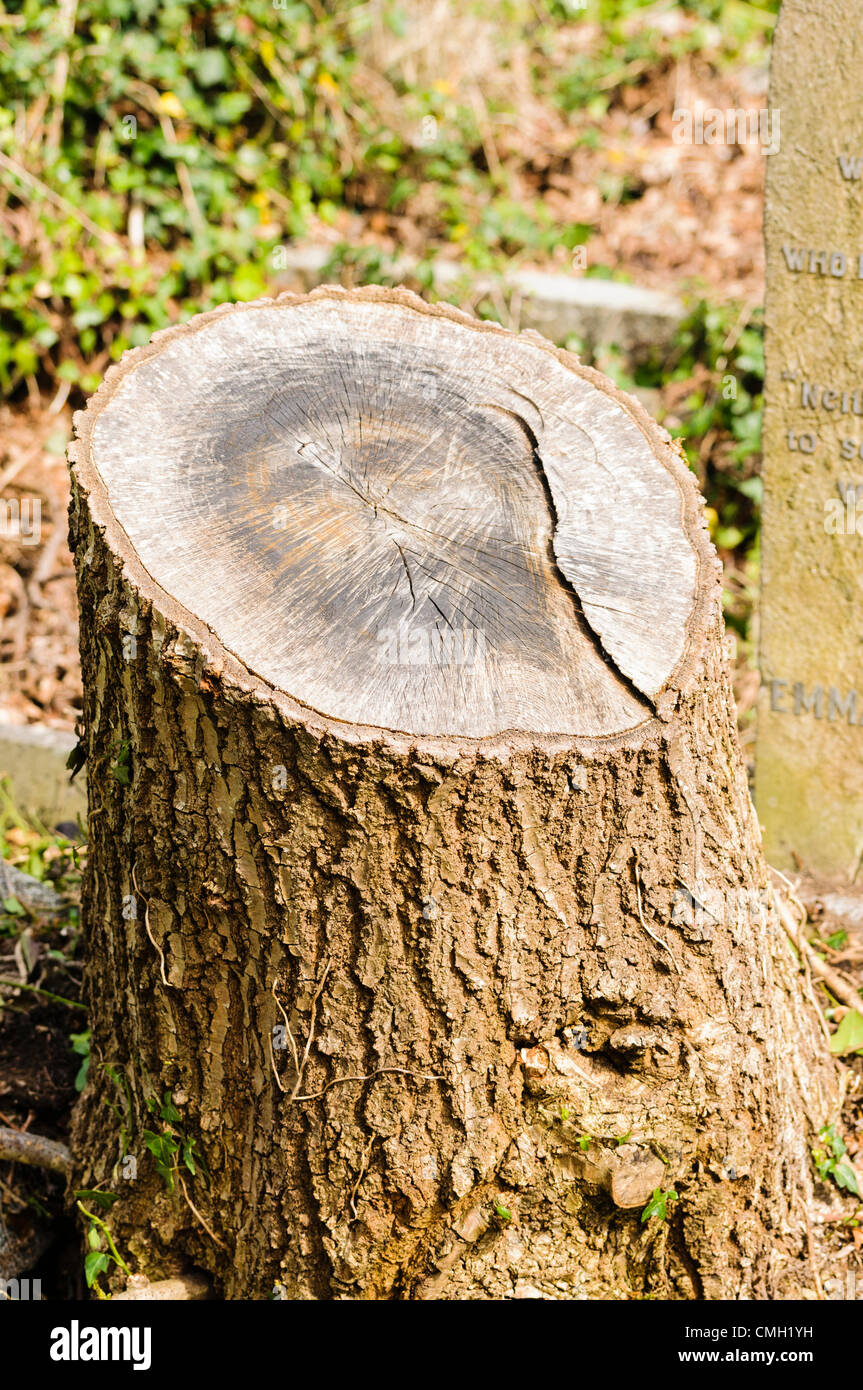 Jesus looking down hi-res stock photography and images - Alamy