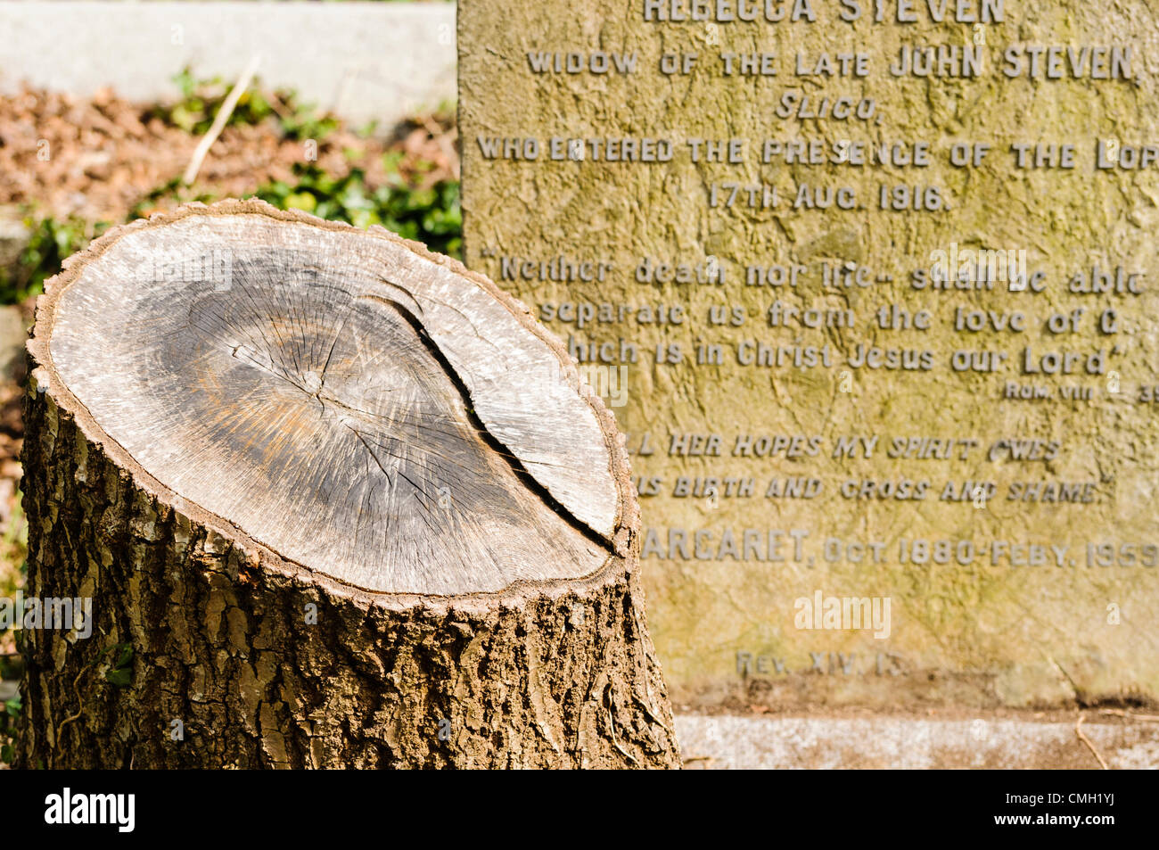 Jesus looking down hi-res stock photography and images - Alamy