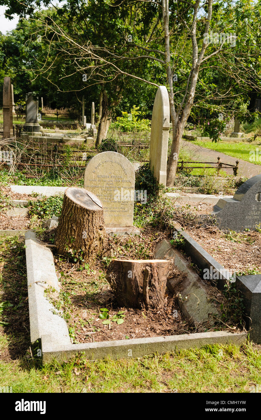 Fake news drawing hi-res stock photography and images - Alamy