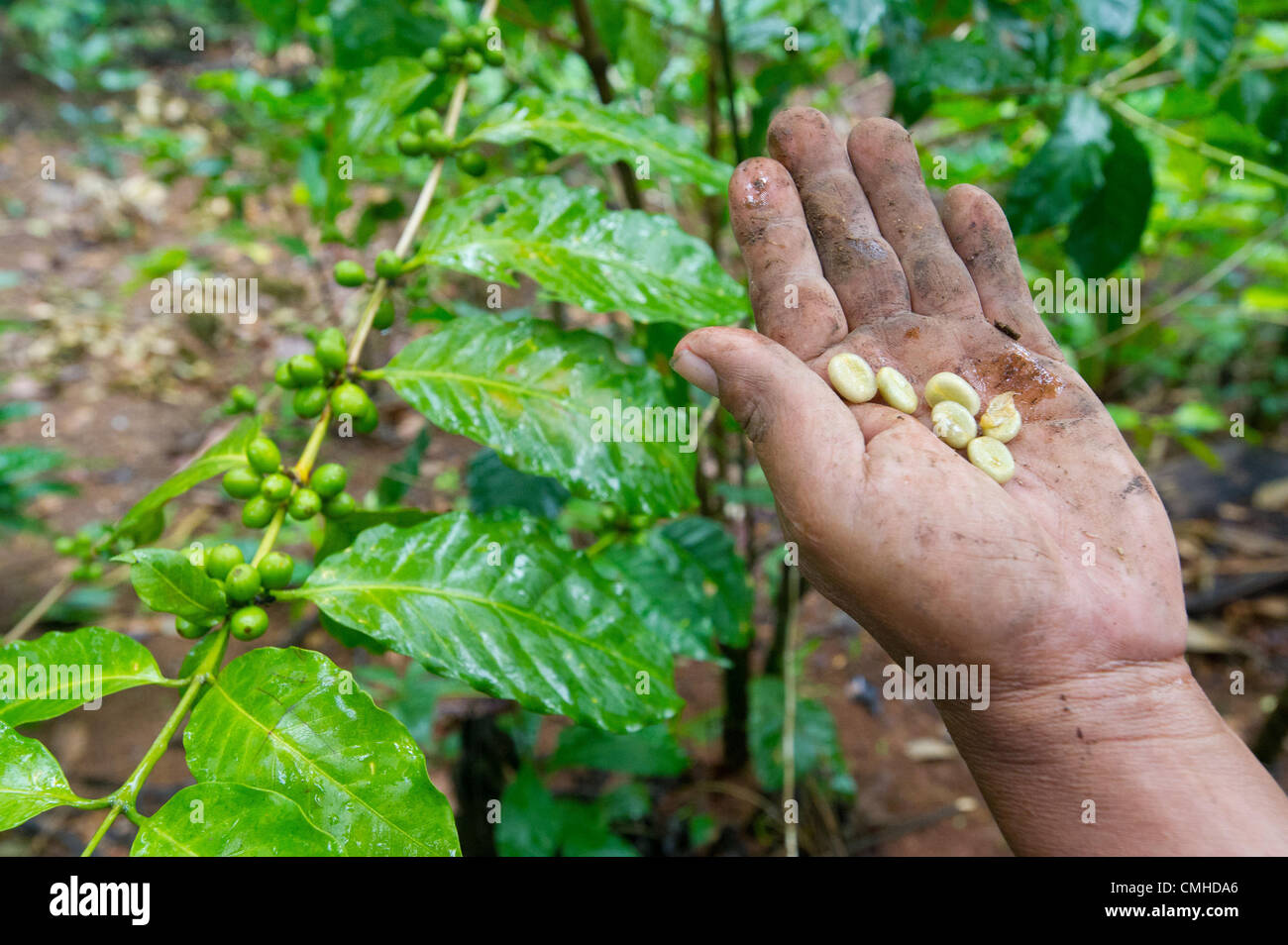 July 29, 2012 - El Palmar (Municipality, Quetzaltenango (Department ...