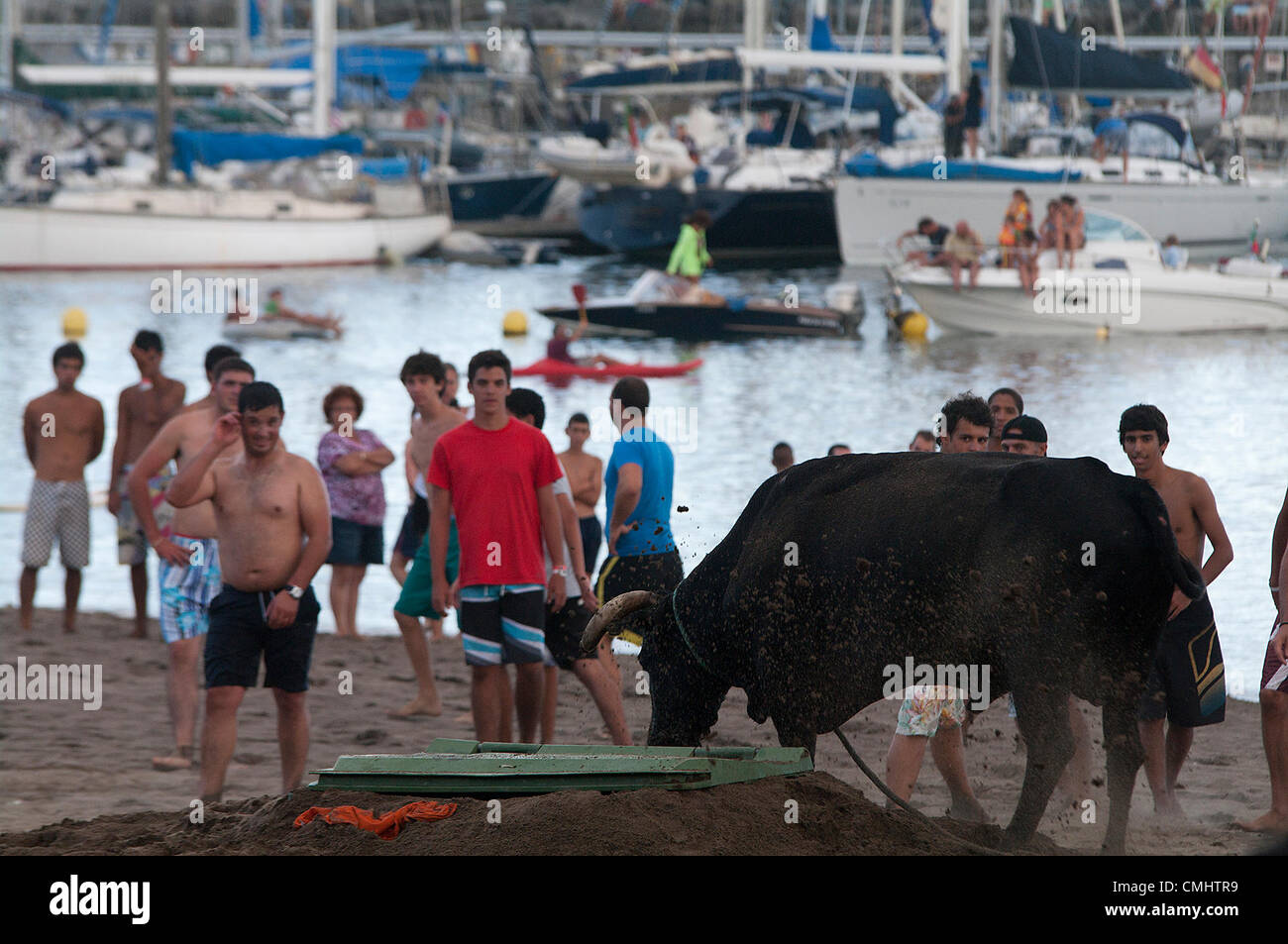 “Tourada à Corda” rope‑restrained bullfight on the beach of Praia da ...