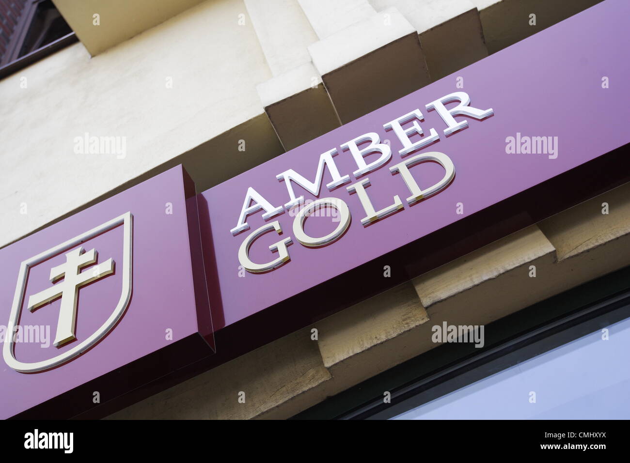 Amber Gold Logo Rose Gold Logo Template Kit: Watercolor Business