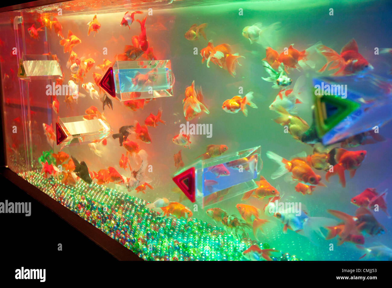Art aquarium exhibition hi-res stock photography and images - Alamy