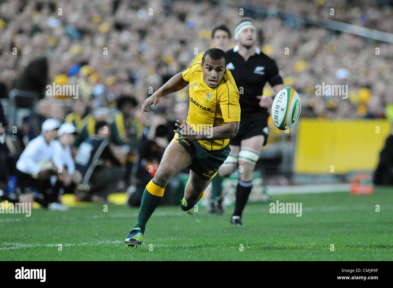 Rugby scrum half in action hi-res stock photography and images - Alamy