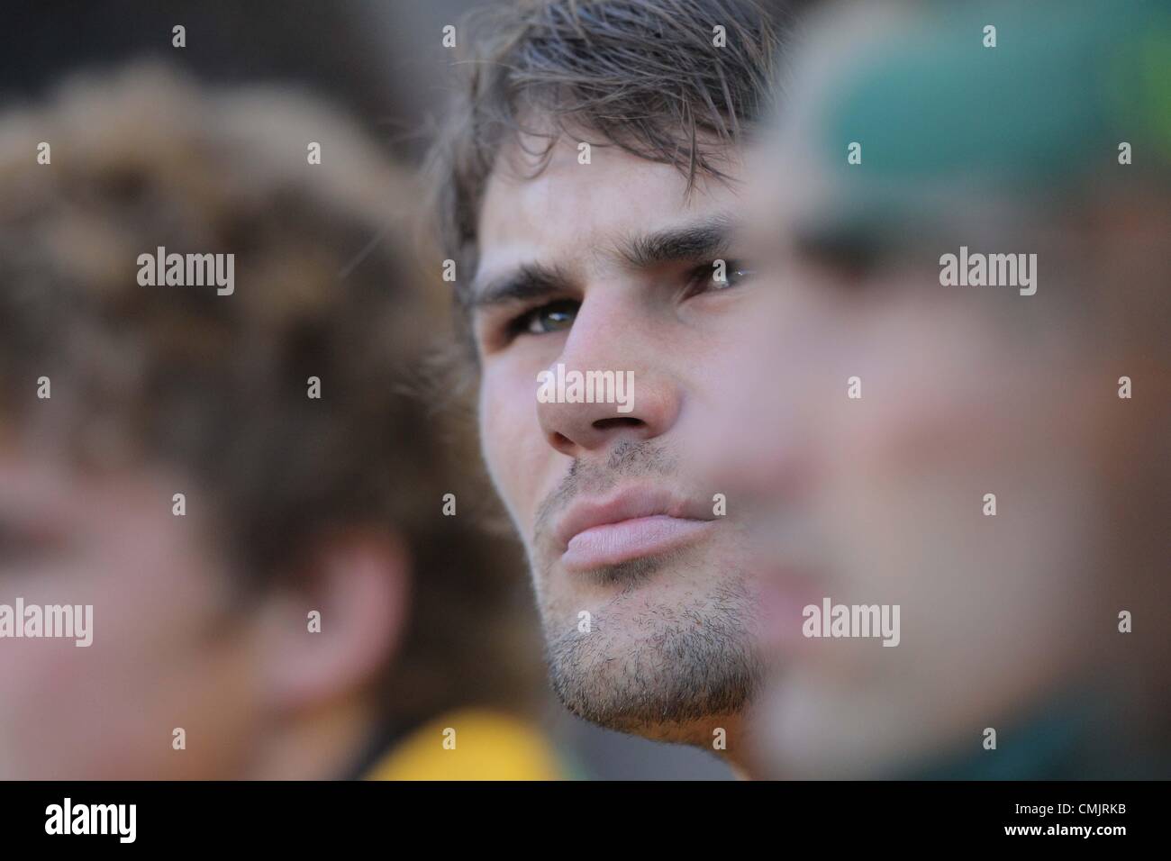 Springbok wing hi-res stock photography and images - Alamy