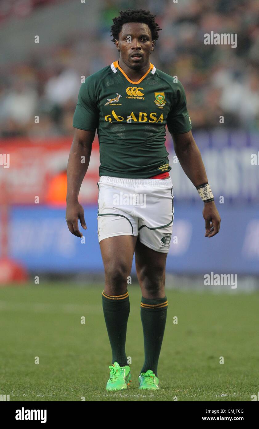 Springbok wing hi-res stock photography and images - Alamy