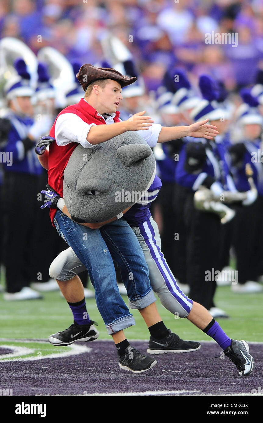 Willie wildcat hi-res stock photography and images - Alamy