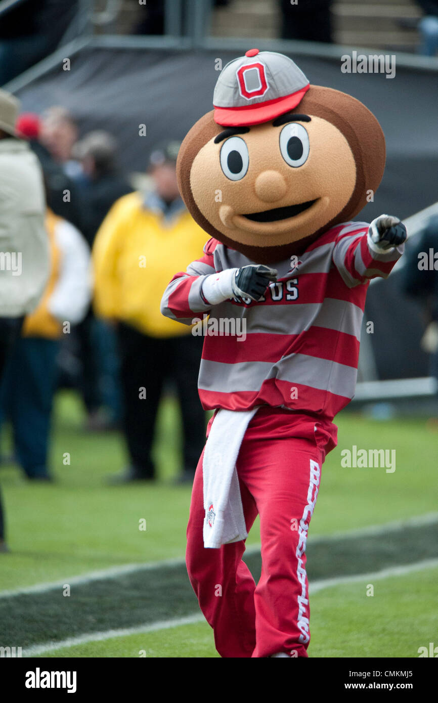 Brutus buckeye hi-res stock photography and images - Alamy