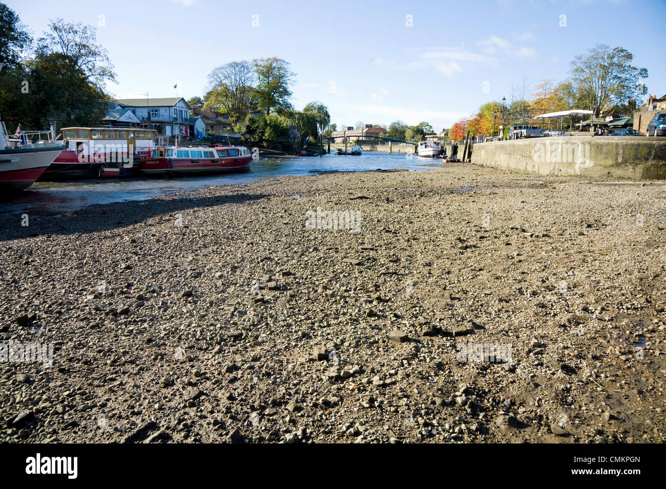 Twickenham, UK. Newly exposed river bed of the Thames at Twickenham, as ...