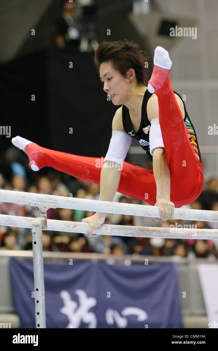 Makuhari Messe, Chiba, Japan. 3rd Nov, 2013. Ryohei Kato (JPN ...