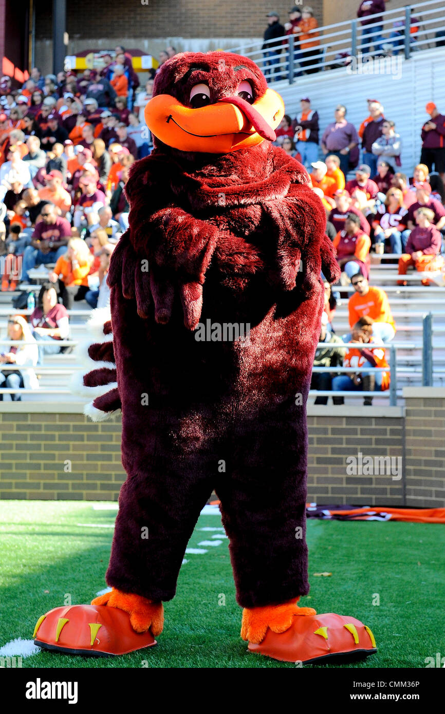 Hokiebird hi-res stock photography and images - Alamy