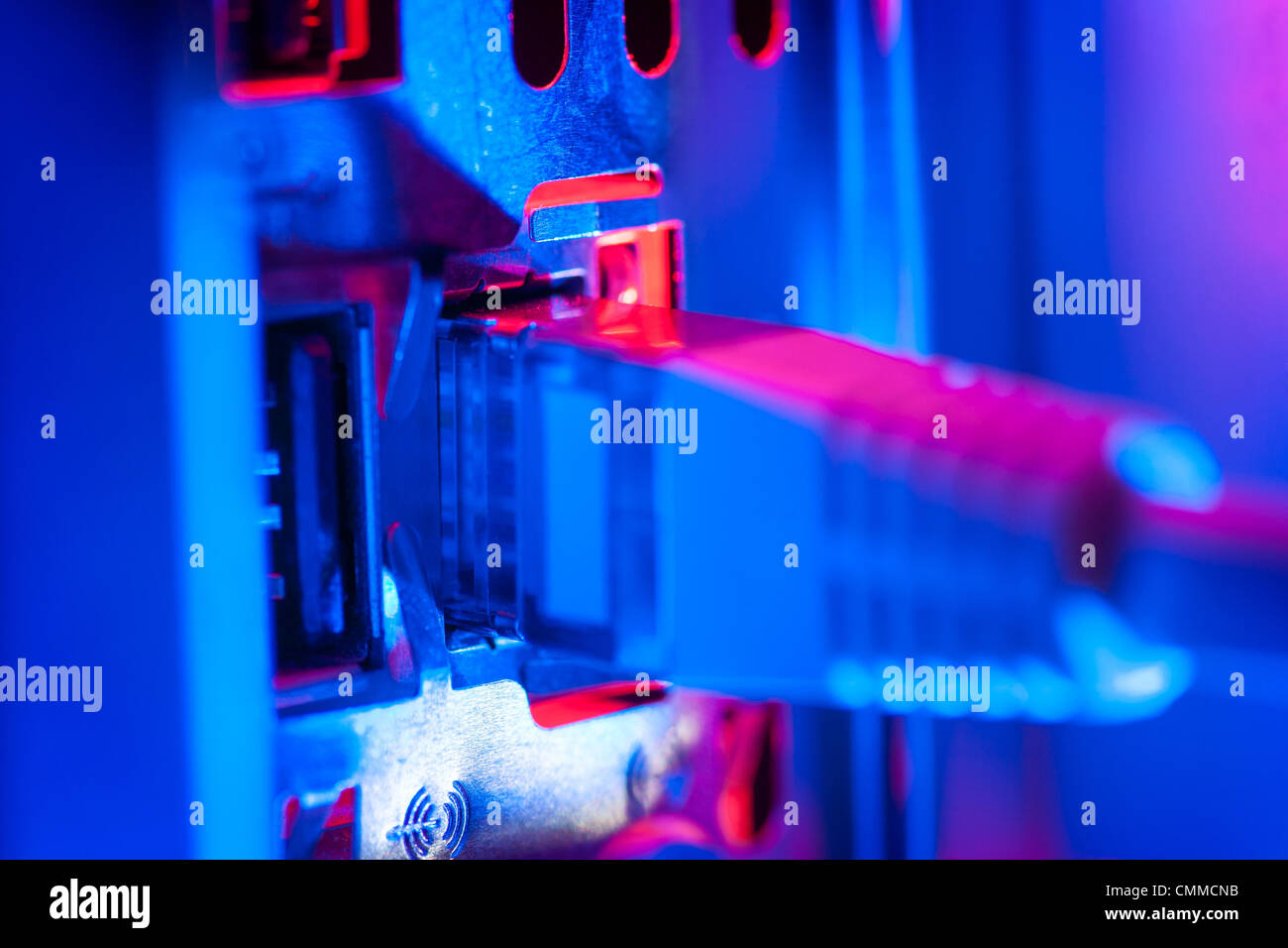 Germany/Brandenburg/Illustration: Internet connection, DSL/Lan-cable at ...