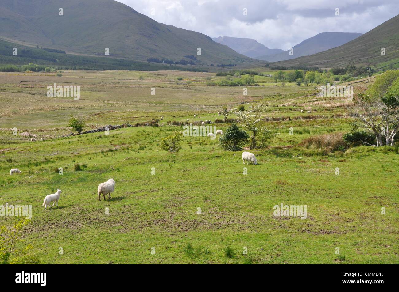 Partry mountains hi-res stock photography and images - Alamy