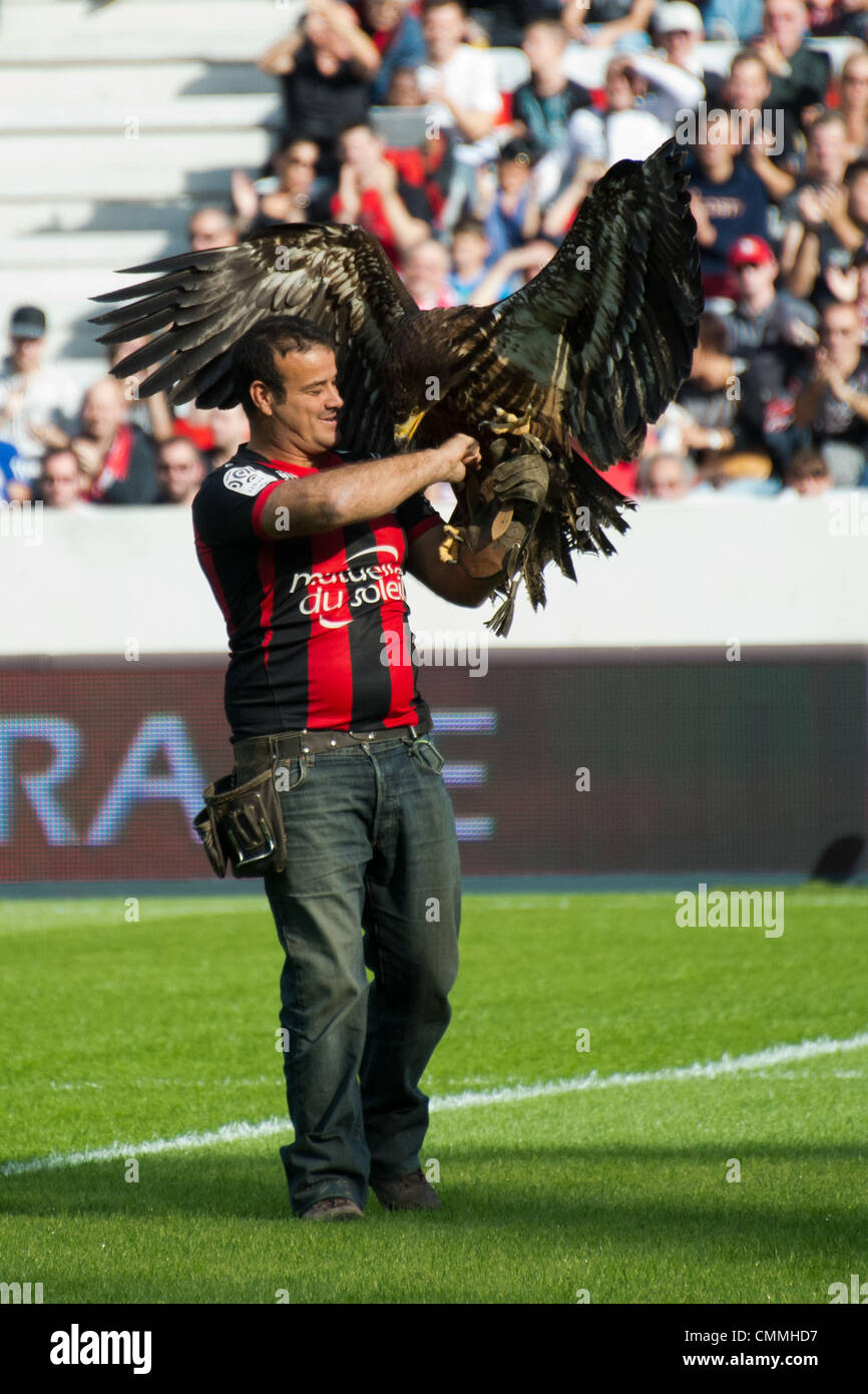Nice's mascot eagle, NOVEMBER 3, 2013 - Football / Soccer : The eagle ...