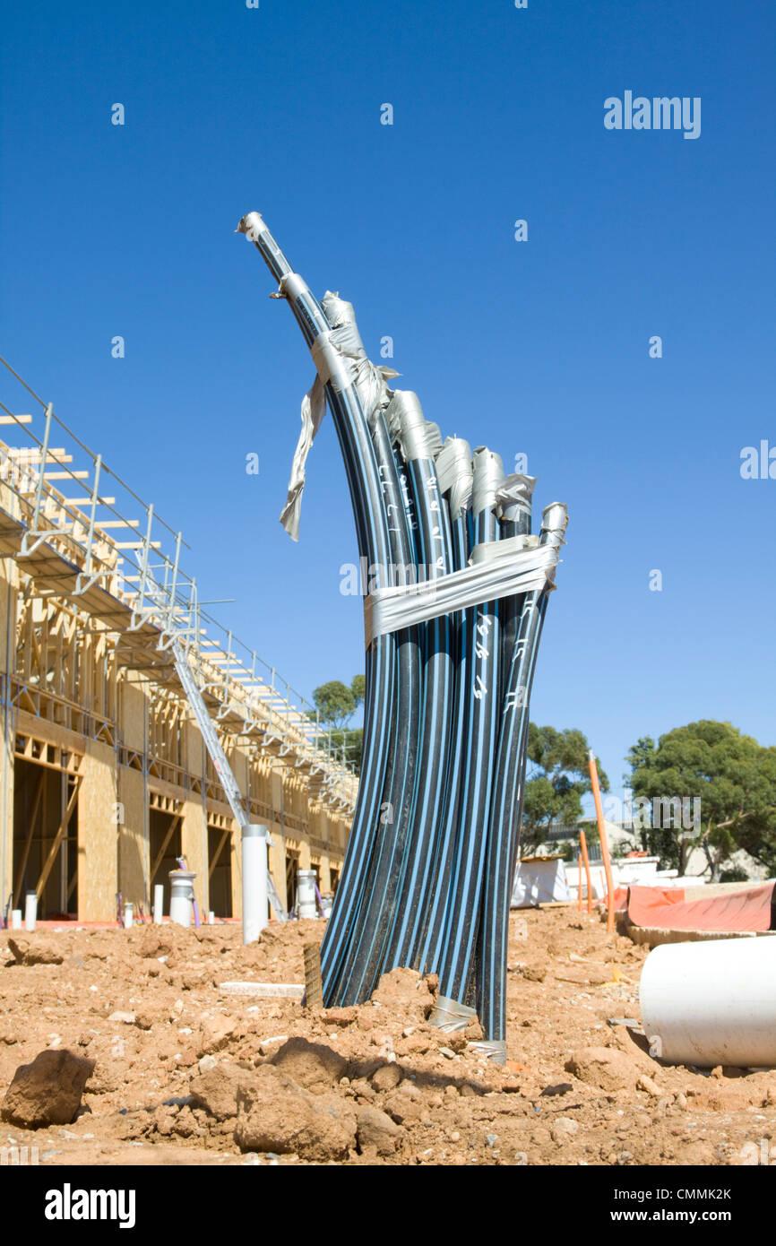 Rising From The Ground High Resolution Stock Photography and Images - Alamy