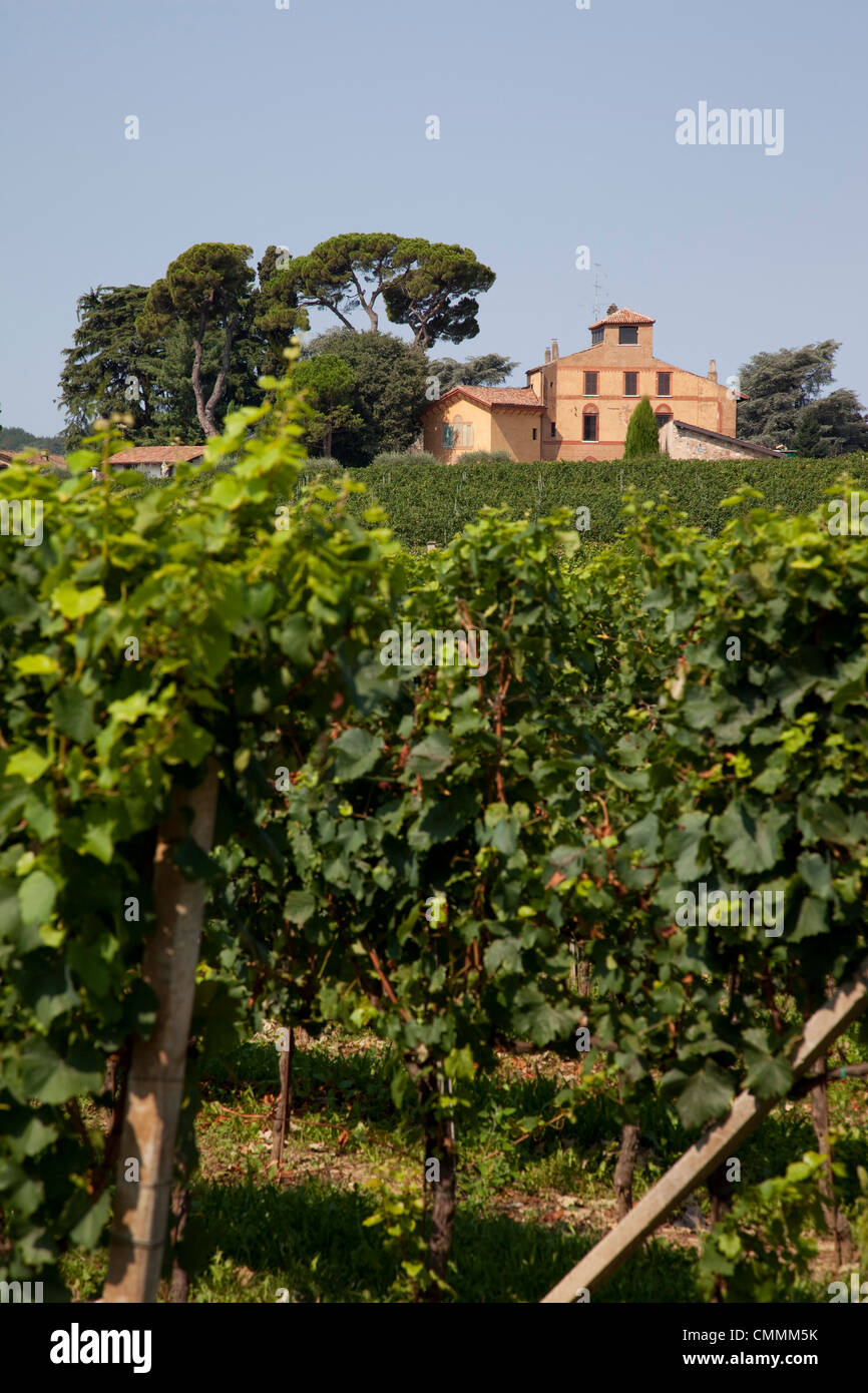 Parma countryside hi-res stock photography and images - Alamy