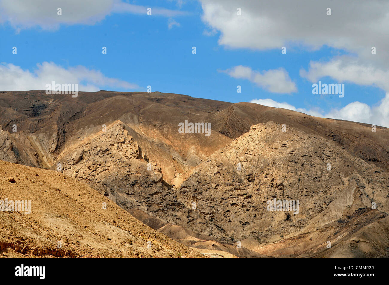 Negev desert sedimentary rock and limestone strata, protruding upwards ...