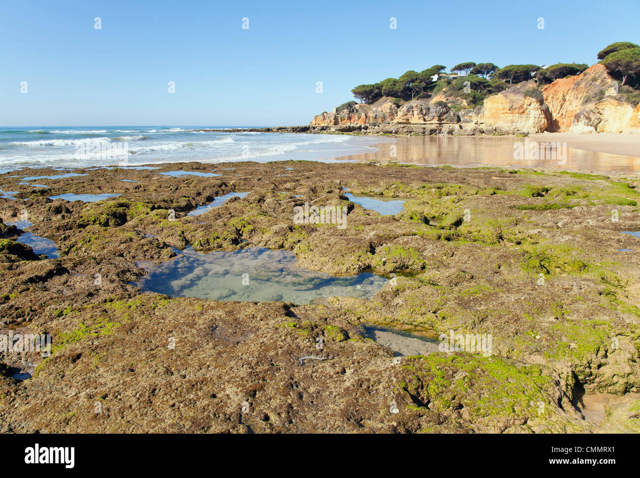 Beach with rock pools Stock Photo - Alamy