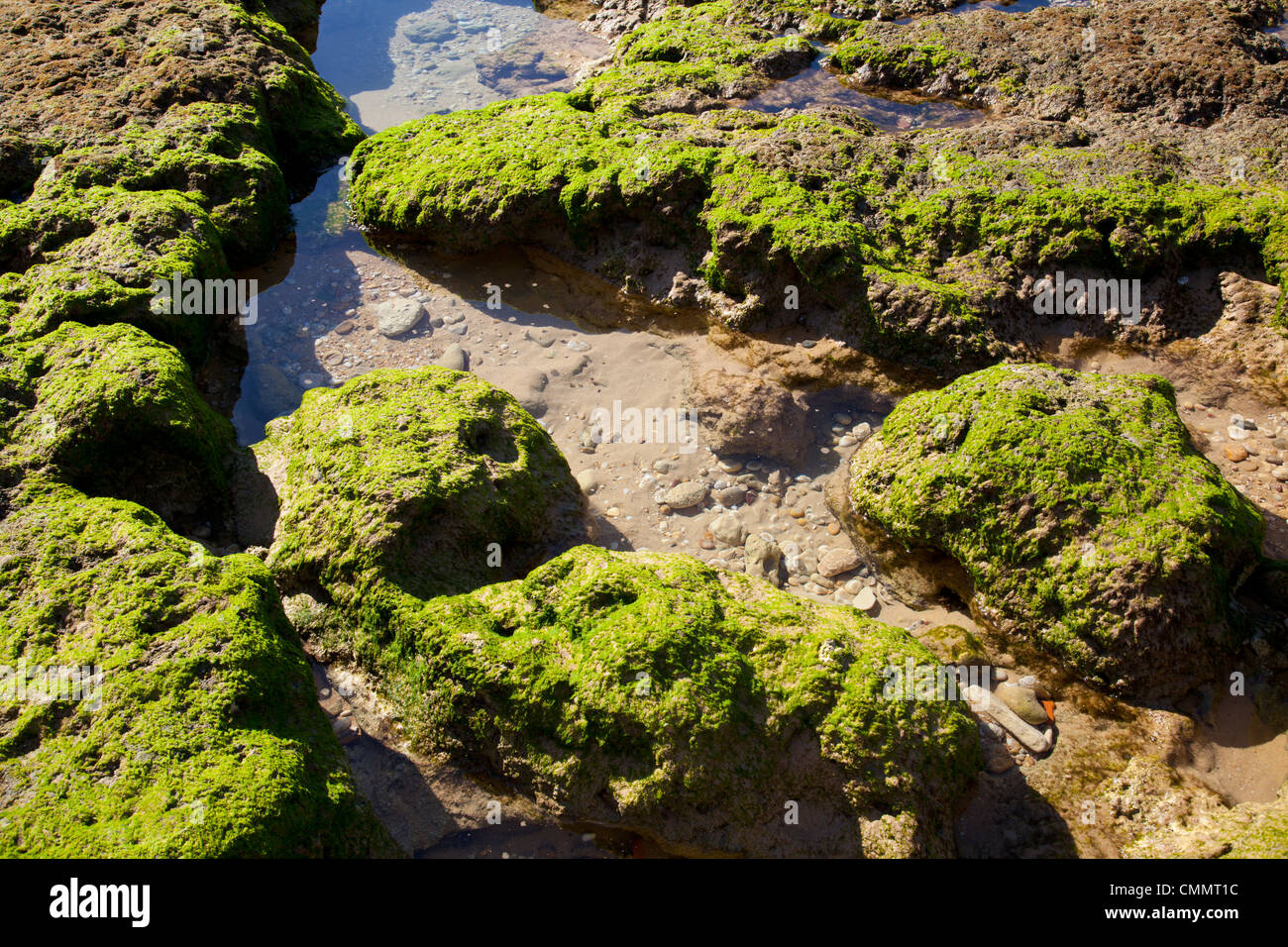 Shoreline rock pools Stock Photo - Alamy